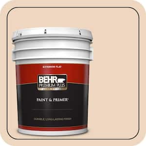 BEHR MARQUEE 1 Gal. #PPU4-10A Sandy Beige Flat Exterior Paint and ...