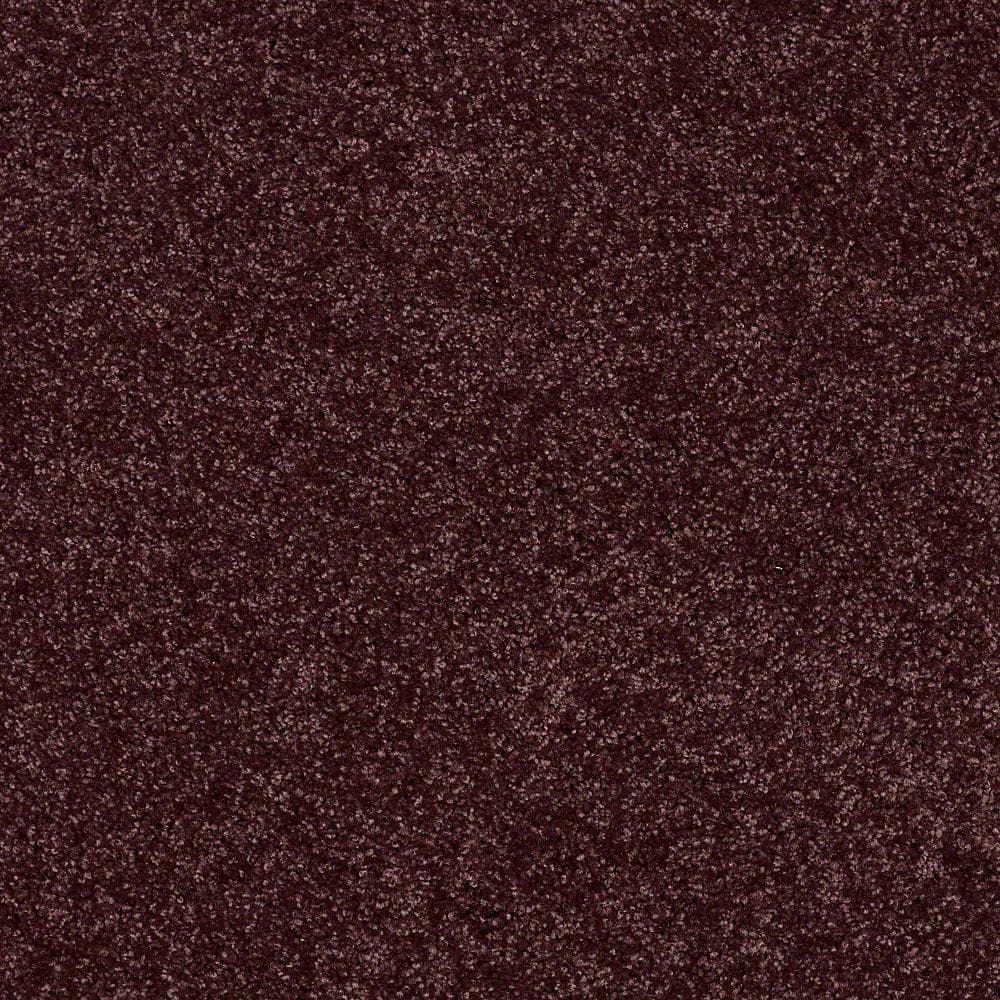 TrafficMaster 8 in. x 8 in. Texture Carpet Sample - Palmdale II - Color ...