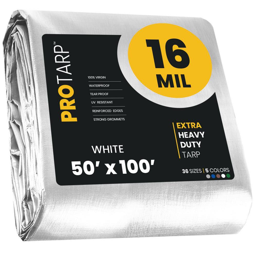 Plikas Tarp Kojis