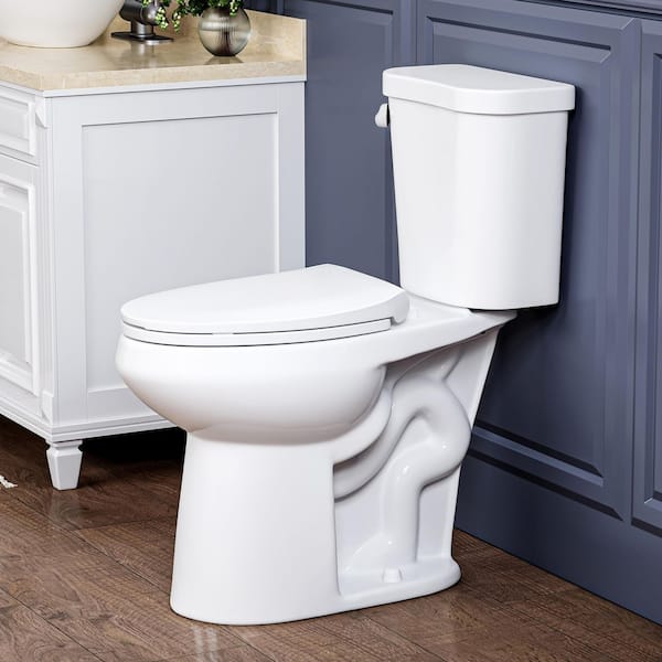 Eridanus Dayton 2-Piece 19 in. Extra Tall 1.28 GPF Single Flush ...