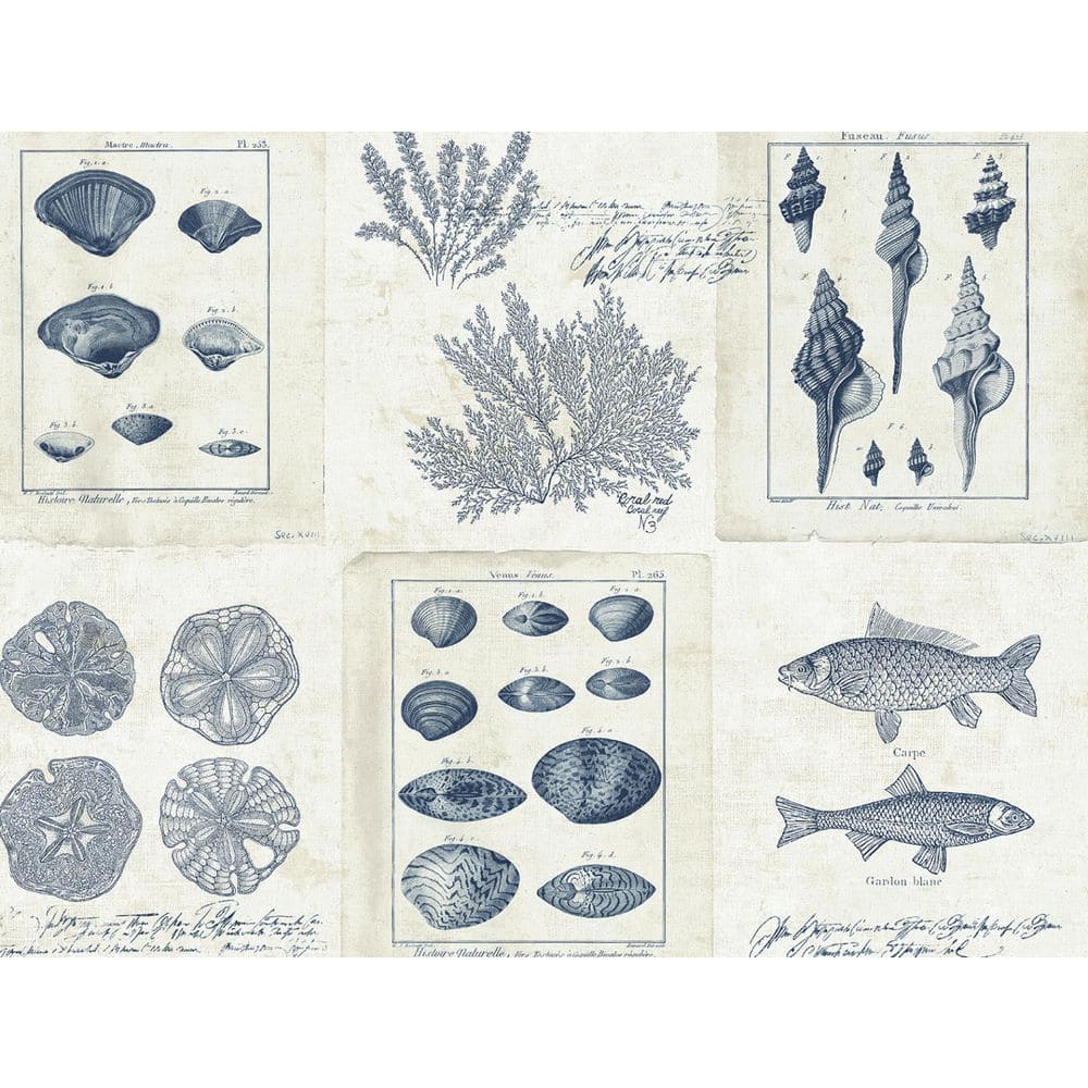 Seabrook Designs 60.75 sq. ft. Blue & Beige Cape Cod Frames Unpasted ...