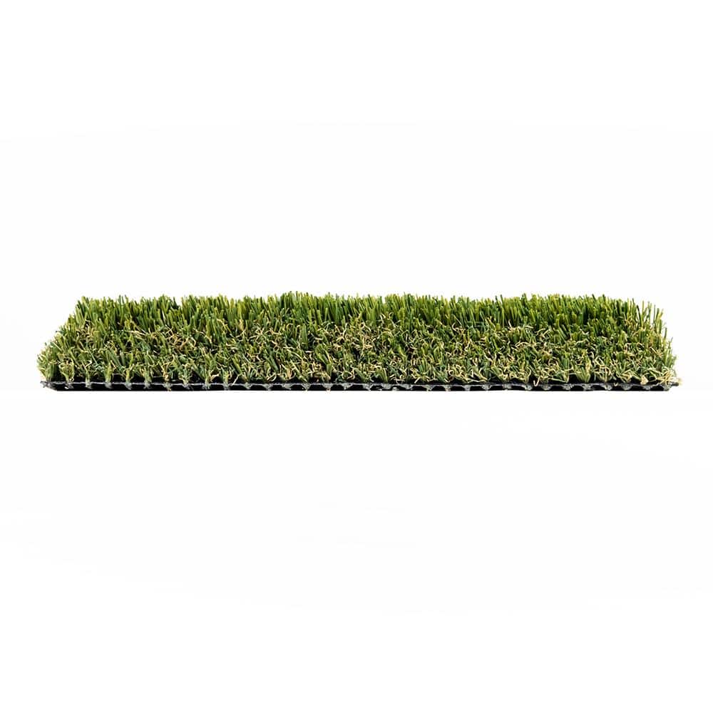 TURF DISTRIBUTORS Eco 94 (1 ft. x 1 ft. Sample Square) Eco 94 Sample ...