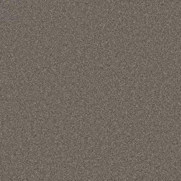 Home Decorators Collection 8 in. x 8 in. Texture Carpet Sample-Trestle ...