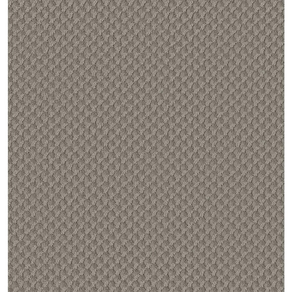 Lifeproof 8 in. x 8 in. Pattern Carpet Sample - Genevieve -Color Mocha ...