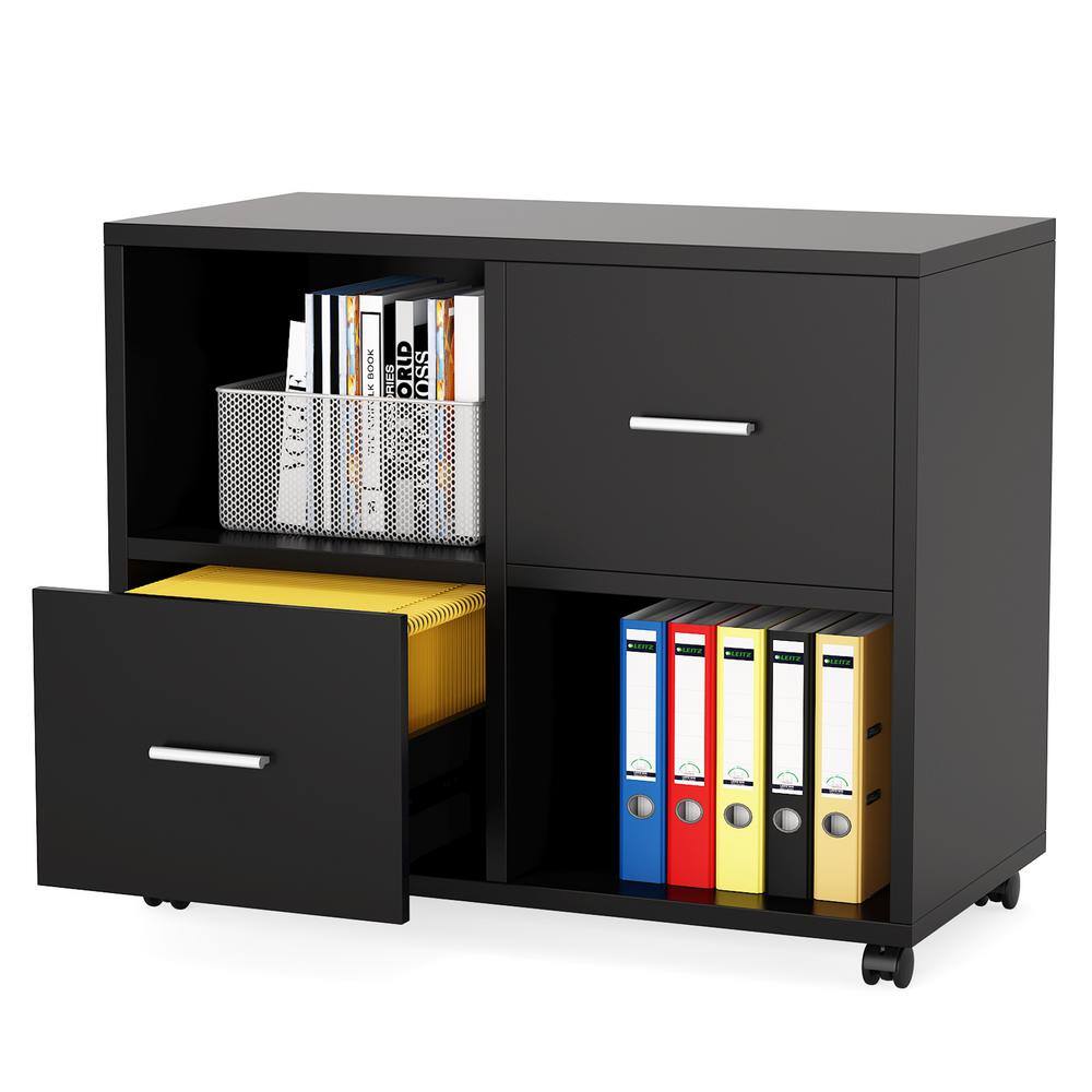 TRIBESIGNS WAY TO ORIGIN Cindy Black Modern File Cabinet with 2-Drawers ...