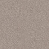 Home Decorators Collection 8 in. x 8 in. Texture Carpet Sample - Cherry ...