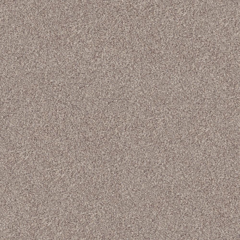 Home Decorators Collection 8 in. x 8 in. Texture Carpet Sample - Cherry ...
