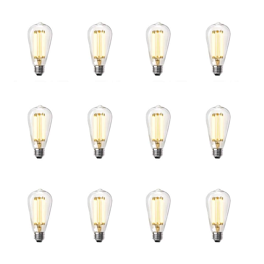 Feit Electric 100-Watt Equivalent ST19 Dimmable Cage Filament Clear ...
