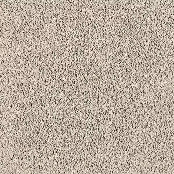 TrafficMaster 8 in. x 8 in. Texture Carpet Sample-Whisk & Whimsy I ...