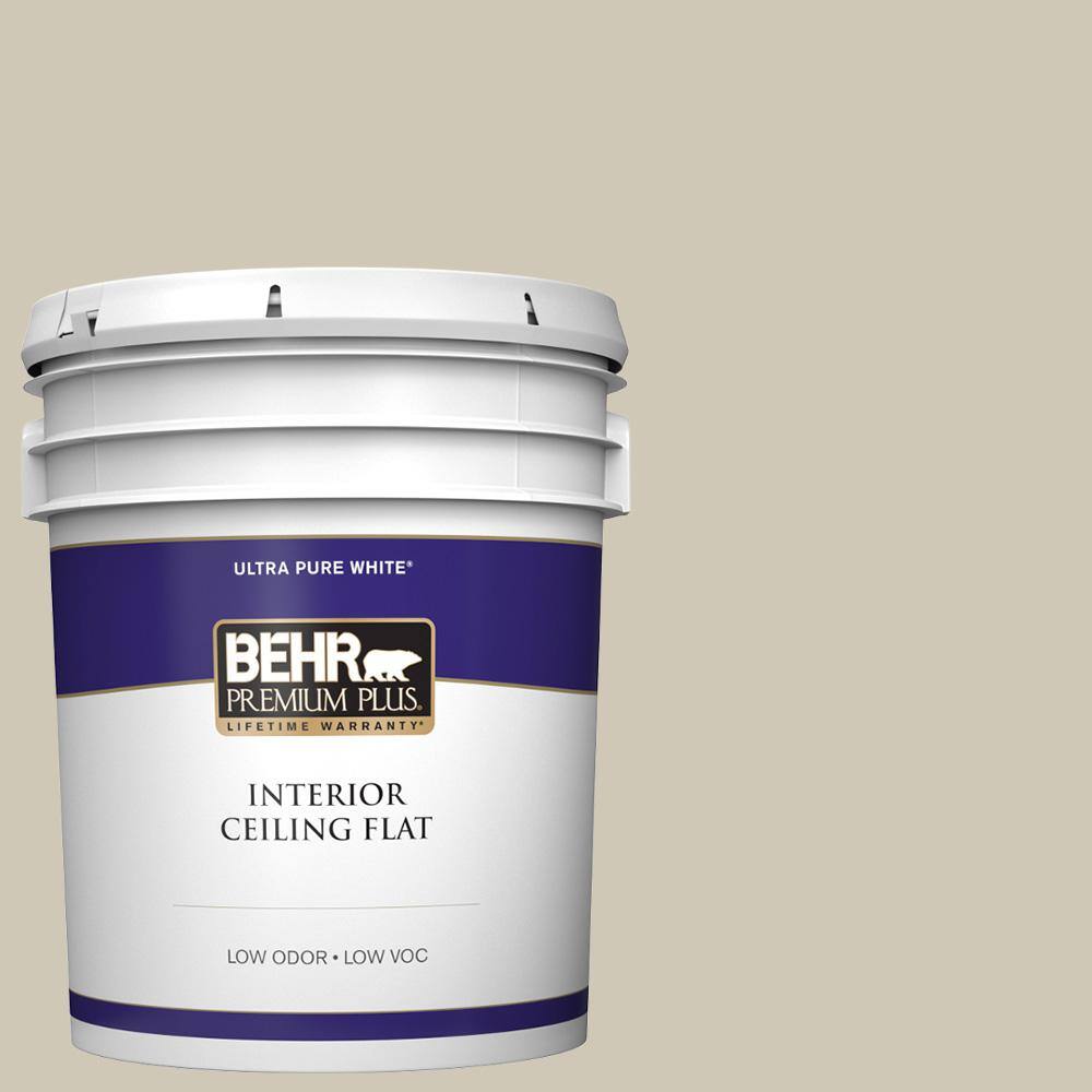 BEHR PREMIUM PLUS 5 gal. #PPU8-16 Coliseum Marble Ceiling Flat Interior ...