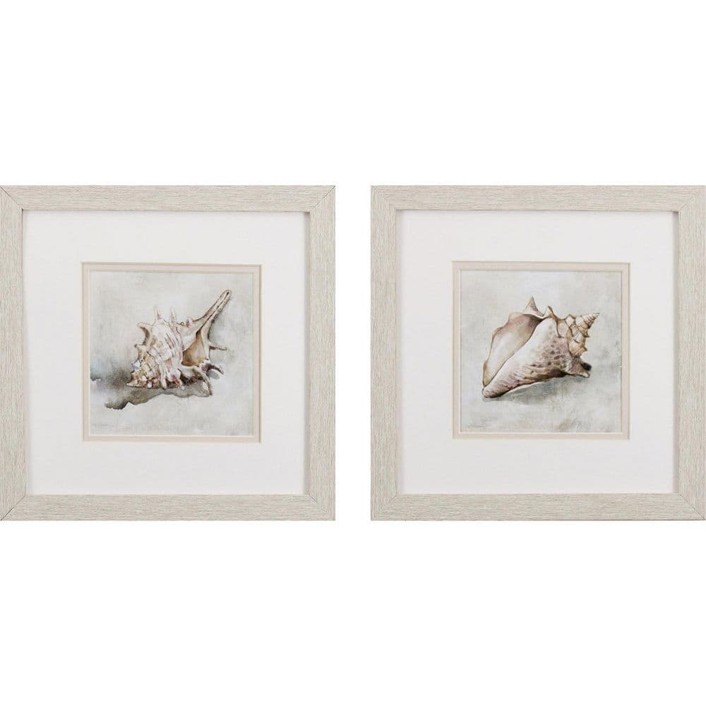 Paragon Seashell Textures by Robinson 2-Piece Framed Nature Poster 11 ...