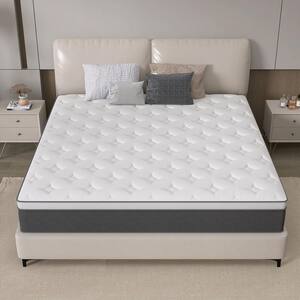 CHEVNI Euro Top Queen Medium Memory Foam 12 in. Bed-in-a-Box Mattress ...