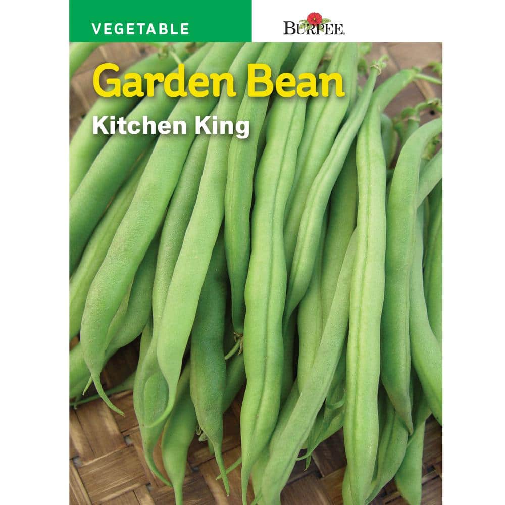 Burpee Bean Bush Snap Kitchen King Seed 68101 - The Home Depot