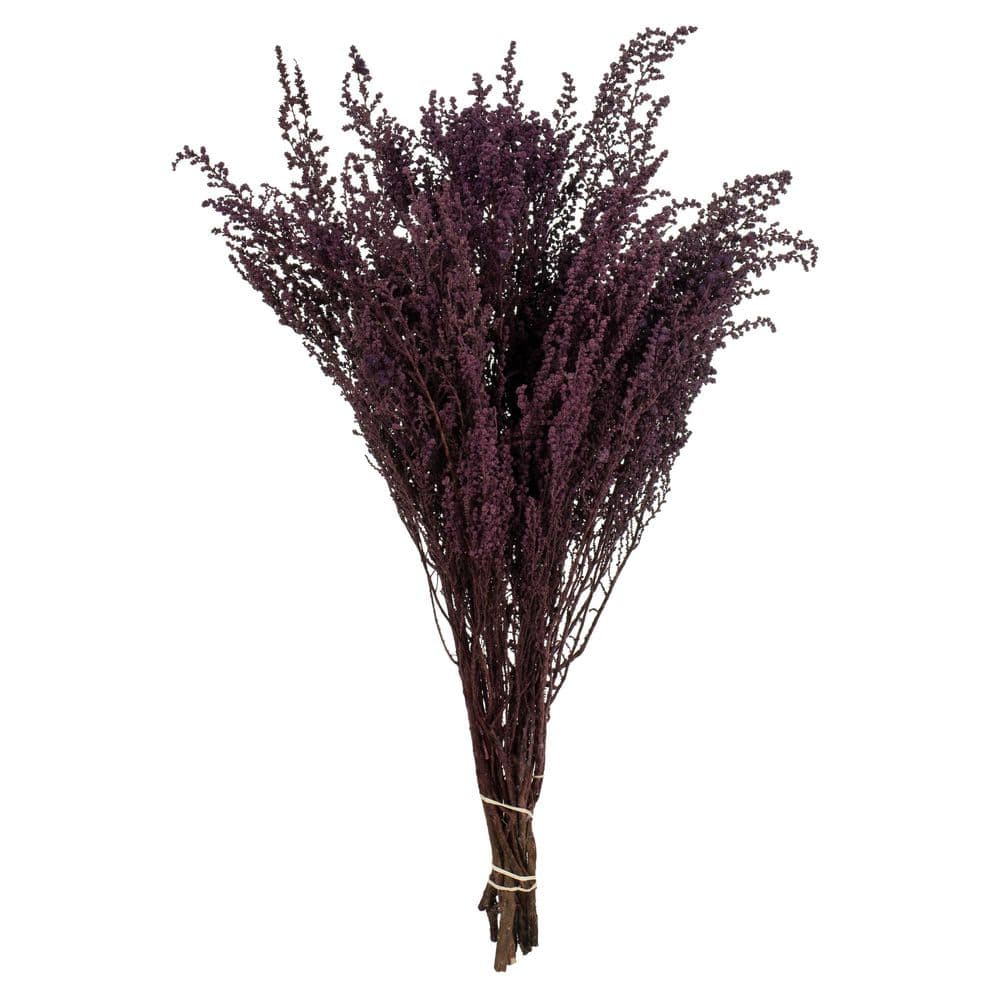 Vickerman 14-18 in. Violet Preserved Stoebe Leaf Stem H1STB575 - The ...
