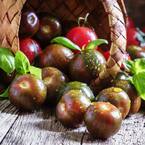 Bonnie Plants 19 oz. Tami G Grape Tomato Plant (2-Pack) 202052