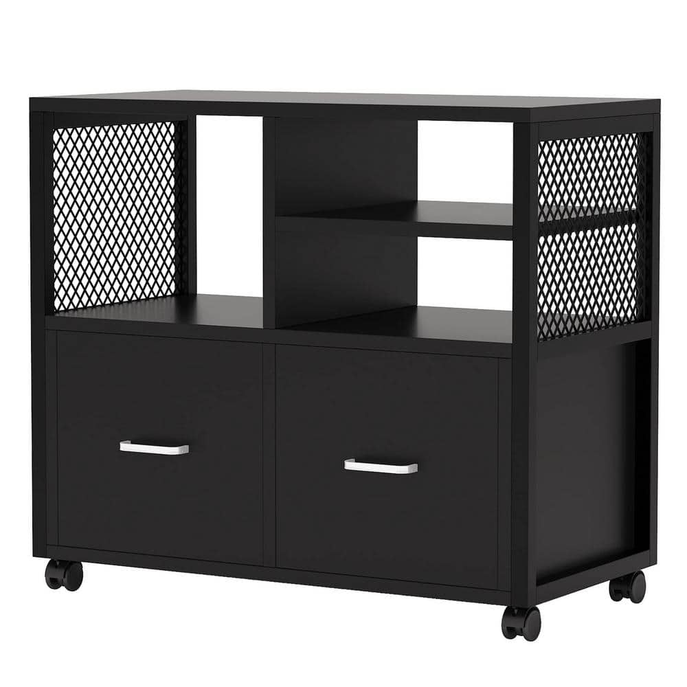 Tribesigns Frances 2 Drawer Lateral Black File Cabinet, Large Filing ...