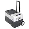 ACOPower LiONCooler 32 Qt. Battery Powered Portable Chest Fridge ...