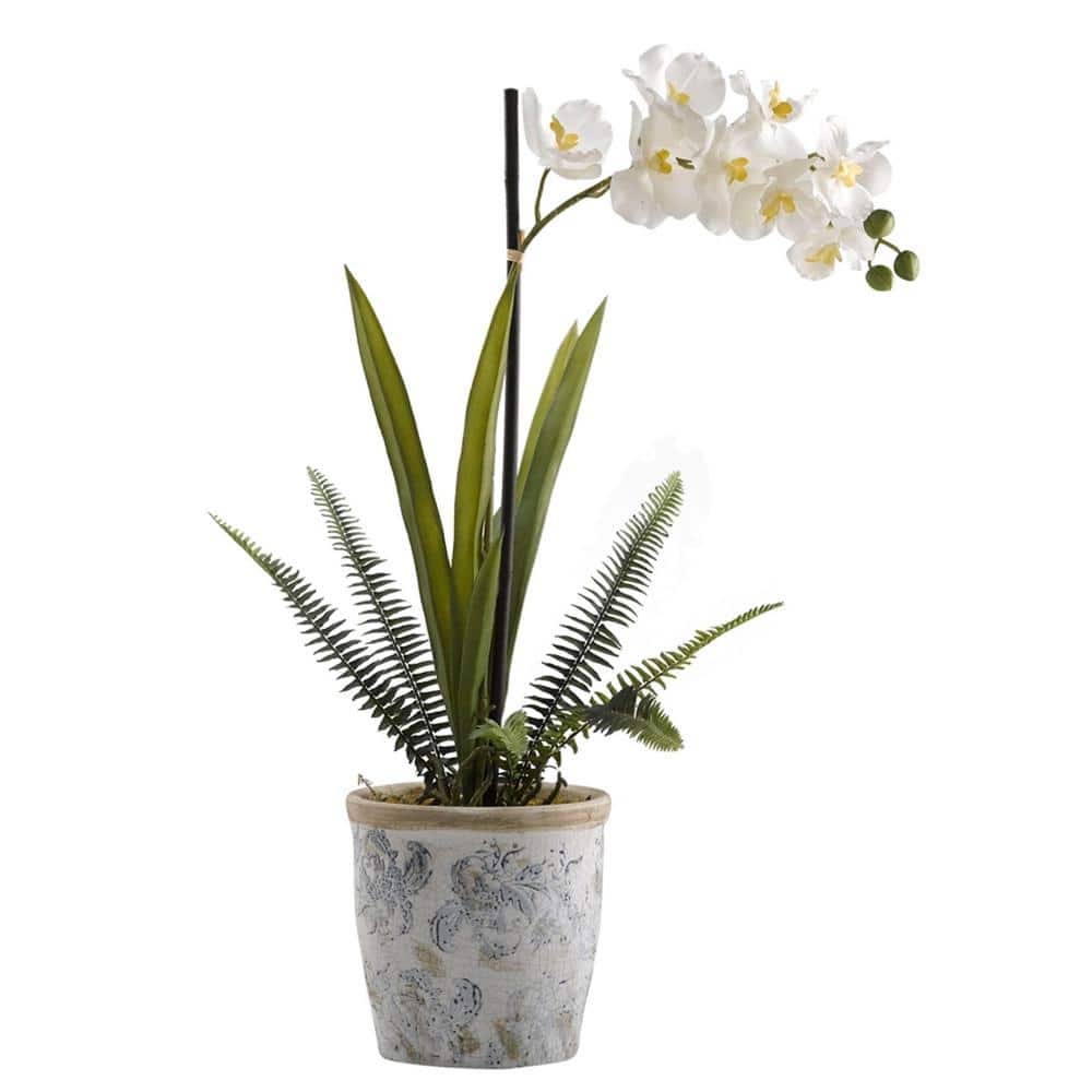 D&W Silks Indoor Cream Vanda Orchid in Blue and White Ceramic 171012 ...