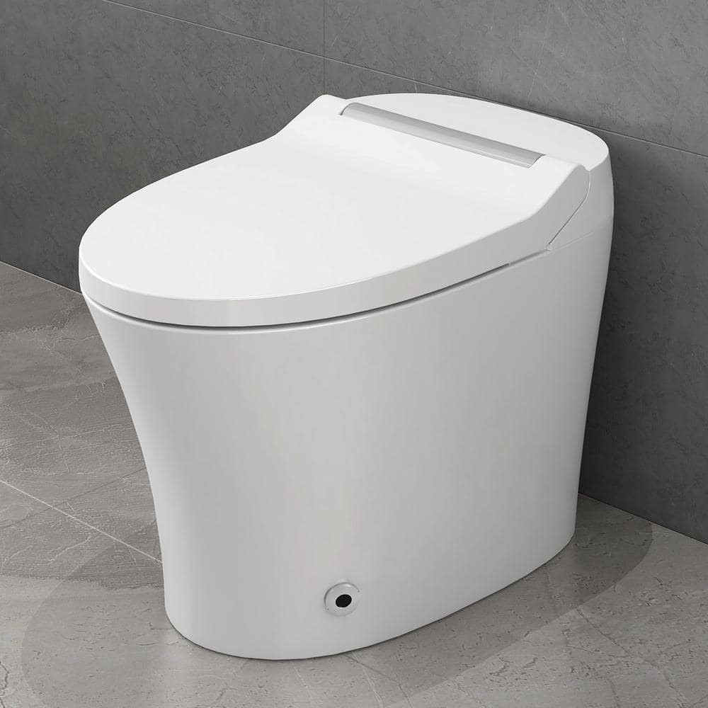 Tenleaf 12 in. 1-Piece Toilet 1/1.28 GPF Dual Flush Round Toilet in ...