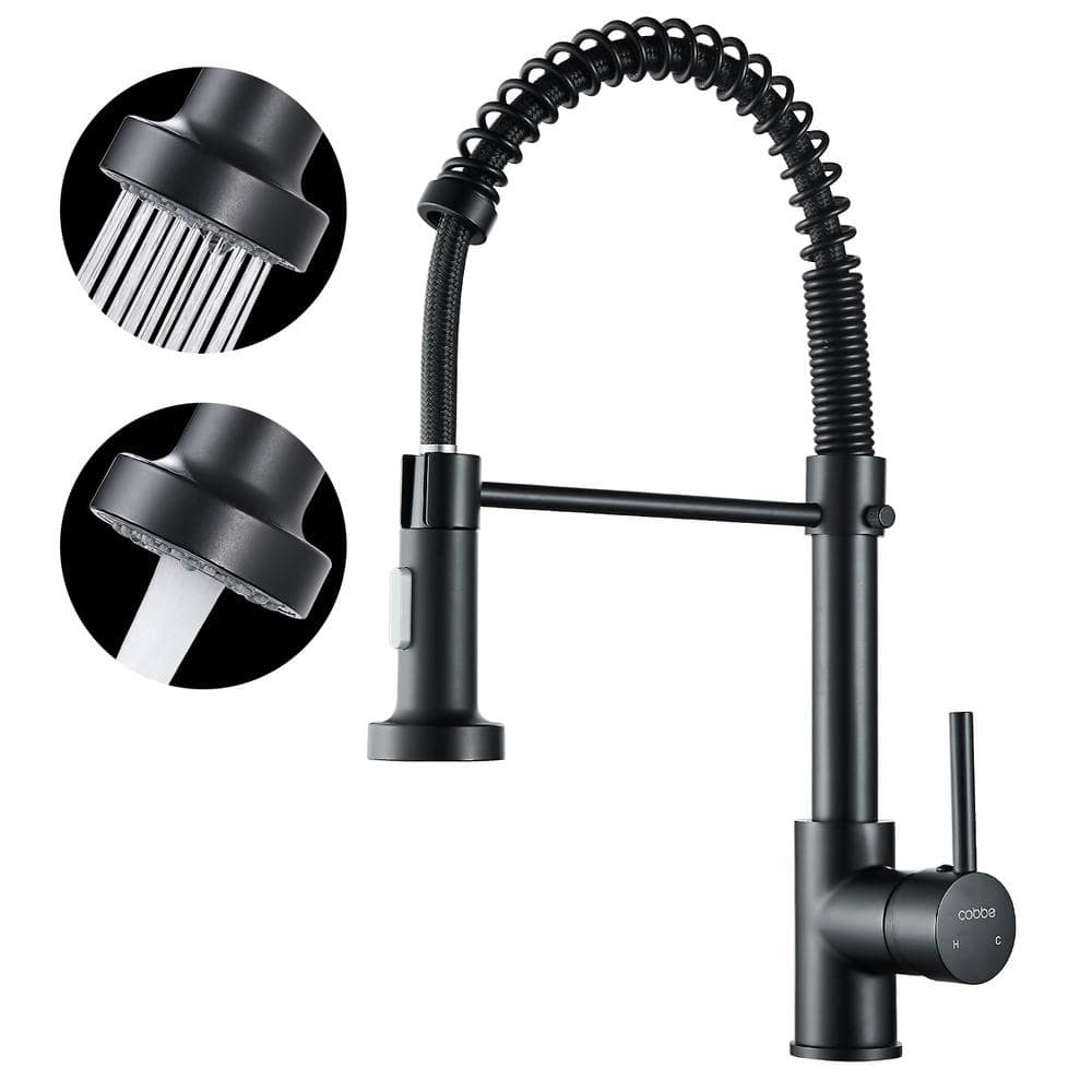 Heemli Single-Handle Pull Down Sprayer Coil Spring High-Arc Kitchen ...