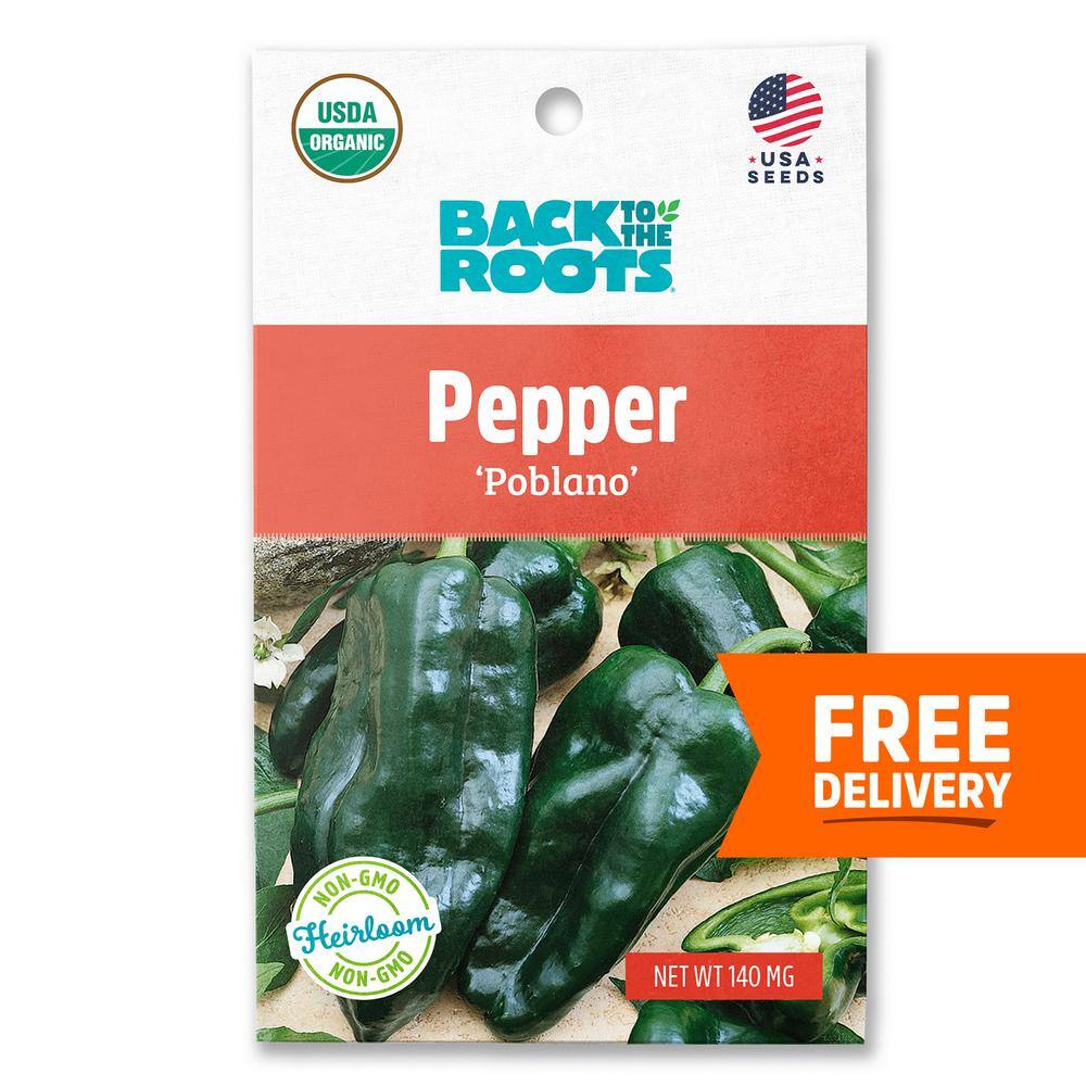 Back to the Roots Organic Poblano Chili Pepper Seed (1-Pack) 46059 ...