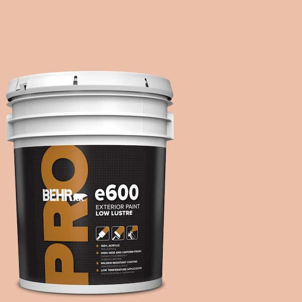 BEHR PRO 5 Gal. #BIC-03 Veronese Peach Low Luster Exterior Paint ...