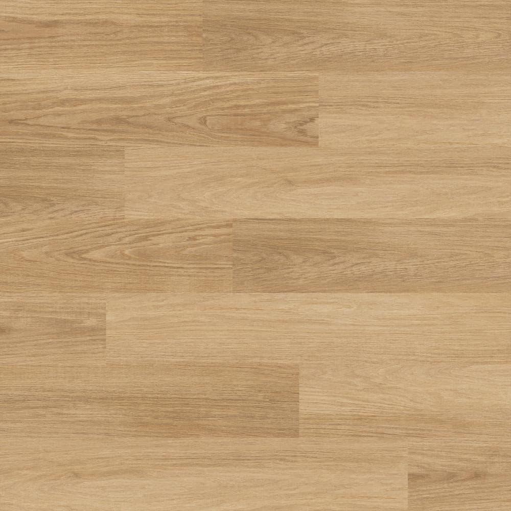 Lifeproof Moose River Oak 22 MIL x 8.7 in. W x 48 in. L Click Lock ...