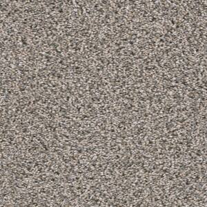 Home Decorators Collection 8 in. x 8 in. Texture Carpet Sample ...