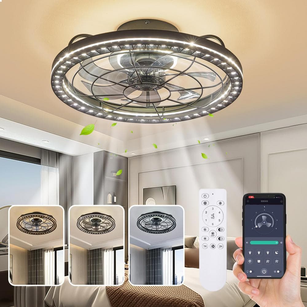 Pacific Core 19 in. Indoor Black Low Profile Caged Ceiling Fan with ...