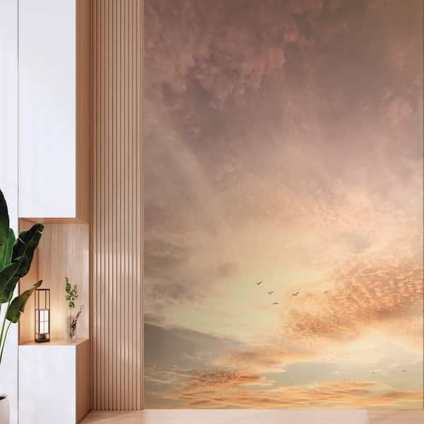 Veer Decor Skyward Glow Wall Mural 8253-CB - The Home Depot