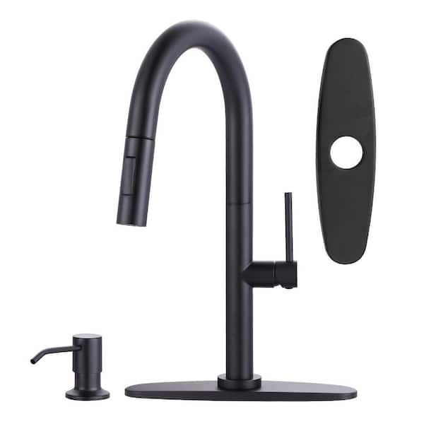 ALEASHA 17 in. Single Handle 360° Swivel Pull-Down Sprayer Kitchen ...