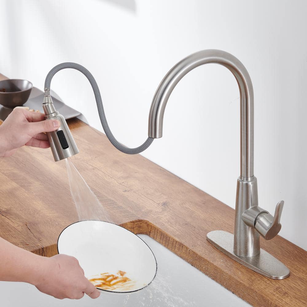 Staykiwi Single Handle Pull Down Sprayer Kitchen Faucet with Advanced ...