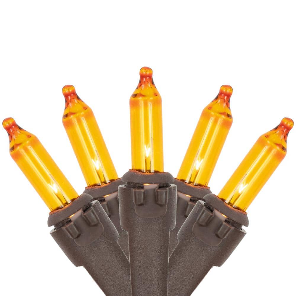 Northlight 10 ft. Amber Mini Fall Harvest Lights Brown Wire (50-Count ...