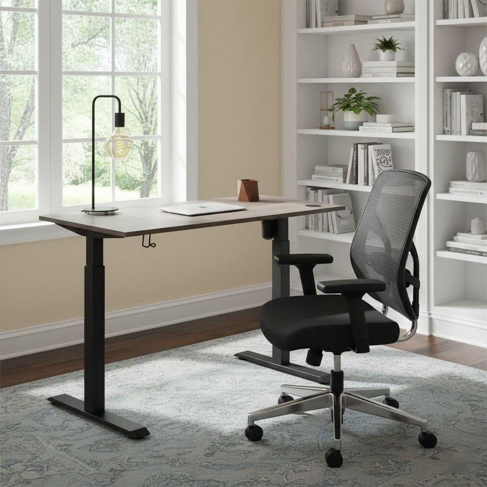 Homy Casa GUDL 48 in. W Electric Height Adjustable Standing Desk ...