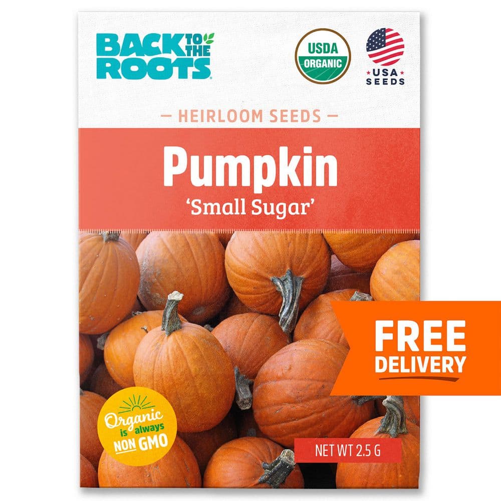 Back to the Roots Organic Pumpkin 'Small Sugar' Heirloom Vegetable ...