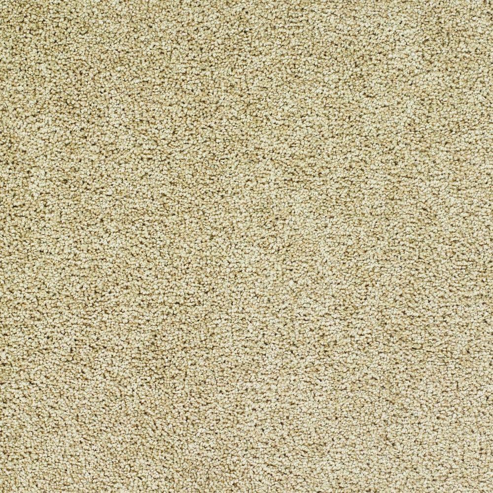 Palatial - Color Camel Over 40 sq. yds. 12 ft. Carpet EF317-1726-1200-A ...