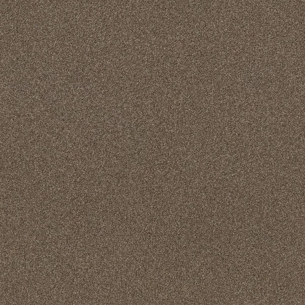 Home Decorators Collection 8 in x 8 in. Texture Carpet Sample ...