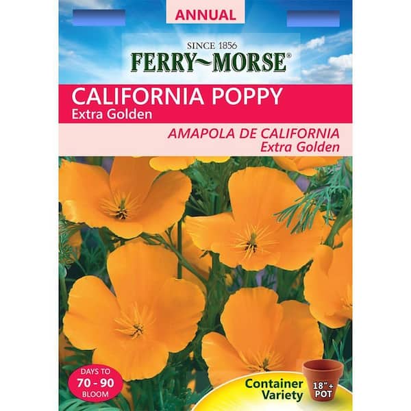 Ferry-Morse California Poppy Extra Golden Seed 4005 - The Home Depot