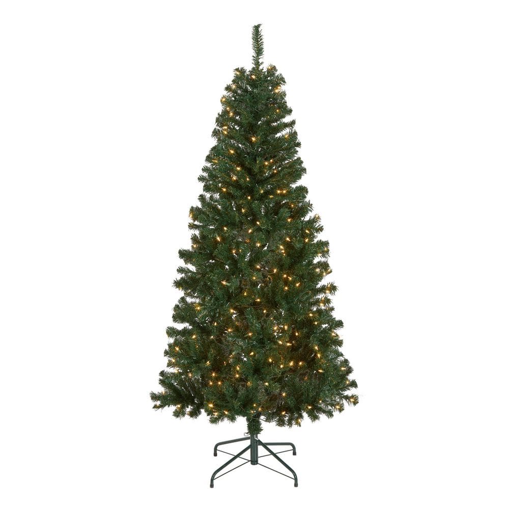 National Tree Company 6 ft. Acacia Artificial Christmas Tree Pre-Lit ...