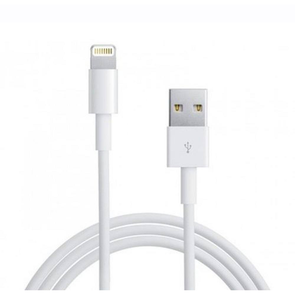 Electronic Master 3.2 ft. USB to iPod/iPad/iPhone Cable PHAP10010 - The ...