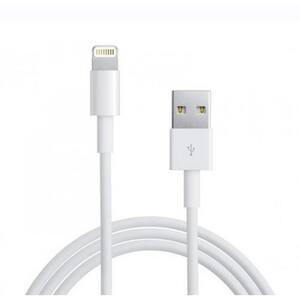Electronic Master 3.2 ft. USB to iPod/iPad/iPhone Cable PHAP10010 - The ...