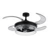Fanaway Brisbane 48 in. Indoor Matt Black Retractable Ceiling Fan with ...