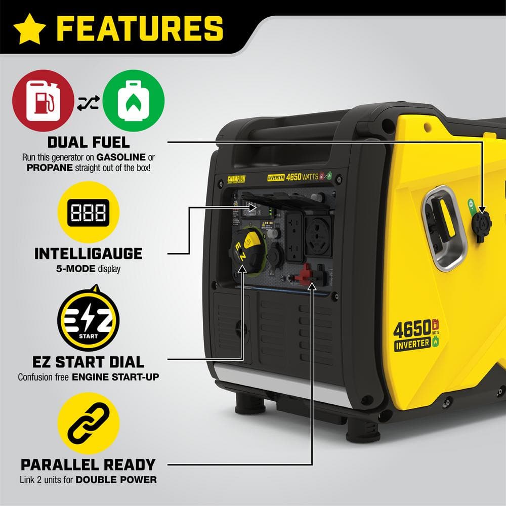 Buy 4650-Watt Electric Start Portable Gas and Propane Powered Dual Fuel ...