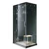 Steam Planet Jupiter Plus 43 in. x 31 in. x 86 in. Steam Shower ...