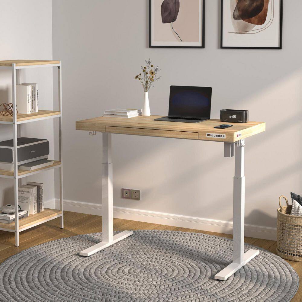 Homy Casa KEAPL 48 in. W Birch Beige Electric Adjustable Standing Desk ...
