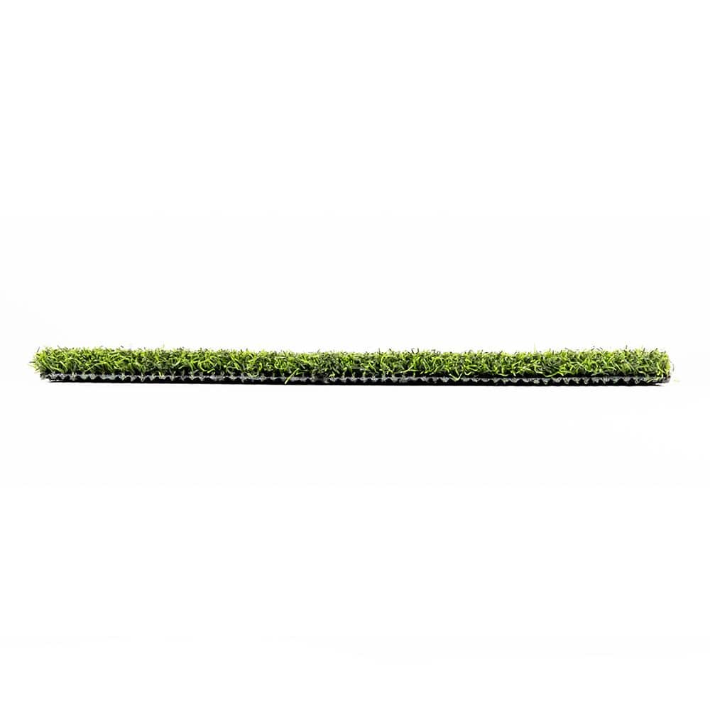 TURF DISTRIBUTORS Eco 85 Silver Putt (1 ft. x 1 ft. Sample Square) Eco ...