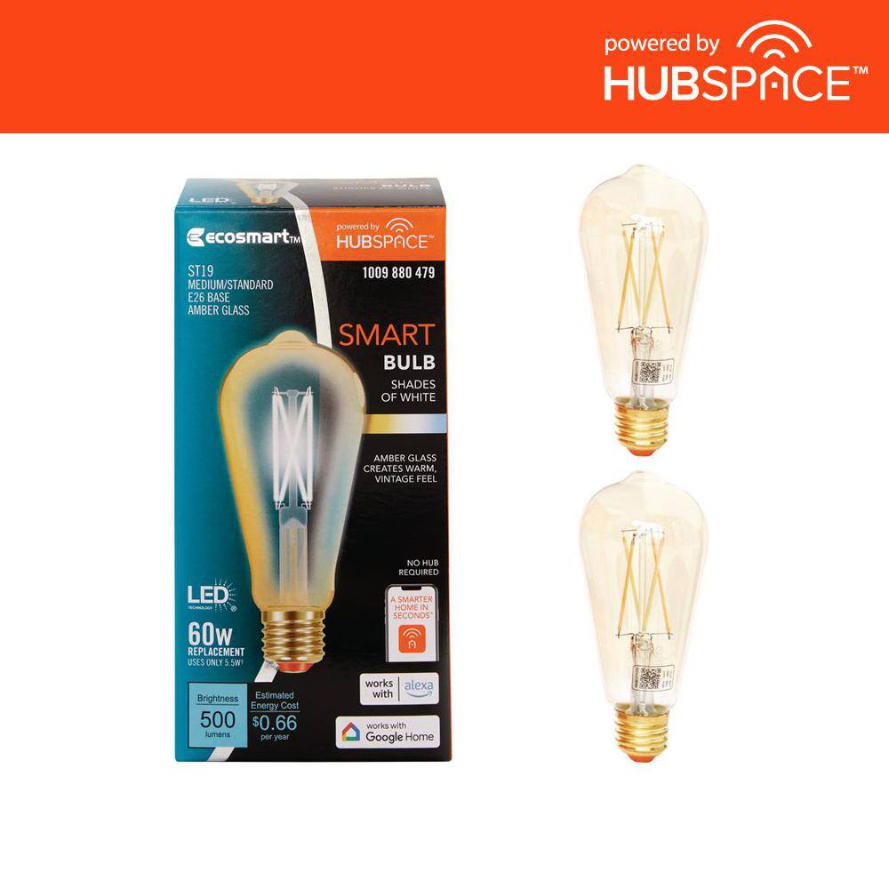 EcoSmart 60-Watt Equivalent Smart ST19 Amber Tunable White CEC LED ...