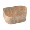 Pavestone Luna 6.02 in. L x 4.33 in. W x 2.36 in. H Eddington Blend ...