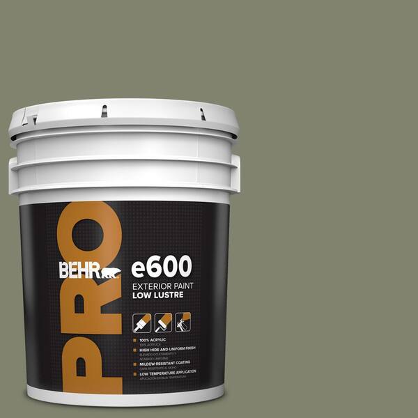 BEHR PRO 5 gal. #PPU10-18 Lizard Green Low Luster Exterior Paint ...
