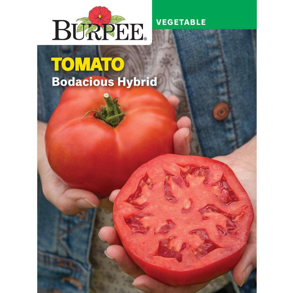 Burpee Tomato Bodacious Hybrid Seed 62767 - The Home Depot